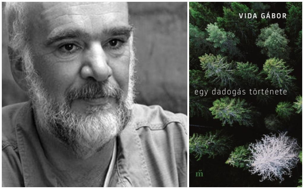 Vida Gábor regényét választotta az évtized könyvének a Merítés-díj zsűrije