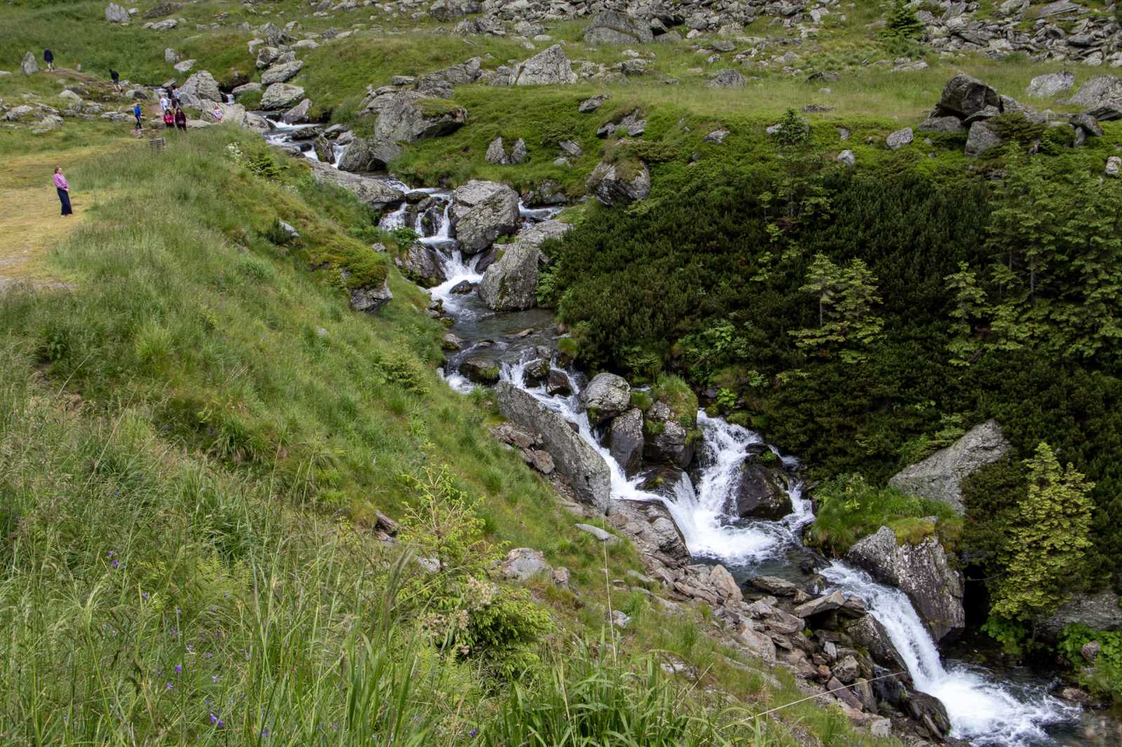 A Transzfogarason jártunk, egy medvét sem láttunk
