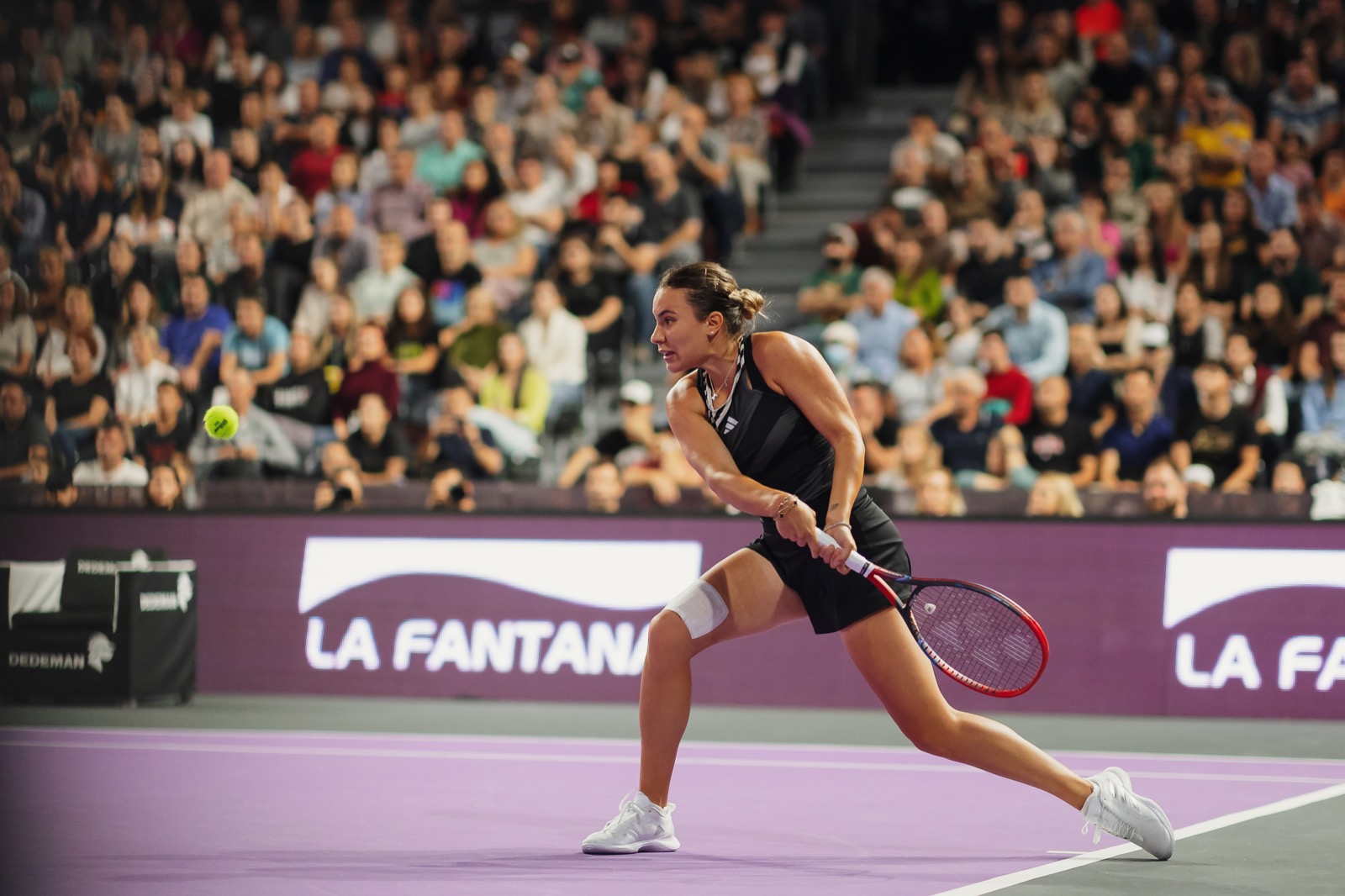 Transylvania Open: Tamara Korpatsch diadalmaskodott Kolozsváron